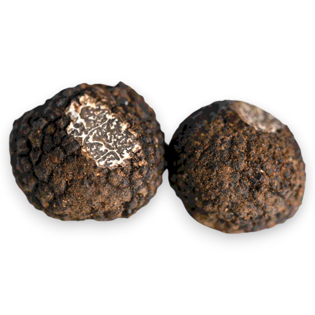 Fresh Black Truffle - Tuber Indicum (B-grade) | Terra Ross